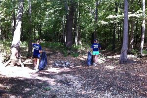 Is it Illegal to Take Things from National Parks? - National Parks Etc.