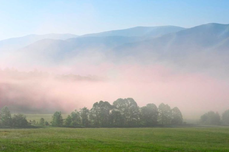 What Is the Best Time of Day To Go to Cades Cove? - National Parks Etc.