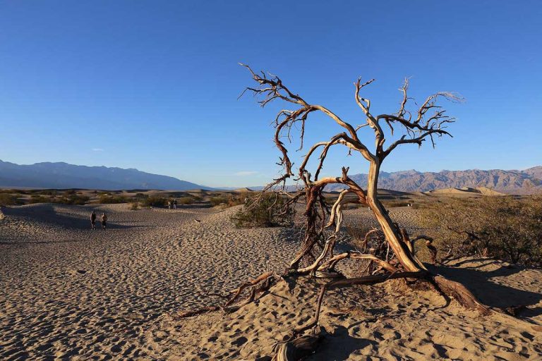 9 National Parks in California (with Amazing Views) - National Parks Etc.